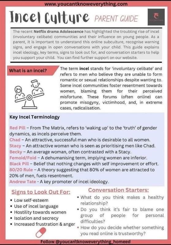 Incel Culture - What is it and a guide to chat to young people about it ...