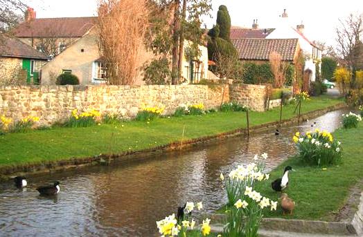MORE ADVICE SOUGHT ON BECK DUCKS PLAN, Bishop Monkton, Harrogate ...