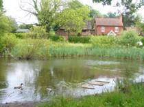 FOREST GREEN SPEED SURVEY, Abinger Common, Dorking : Local News - HugoFox